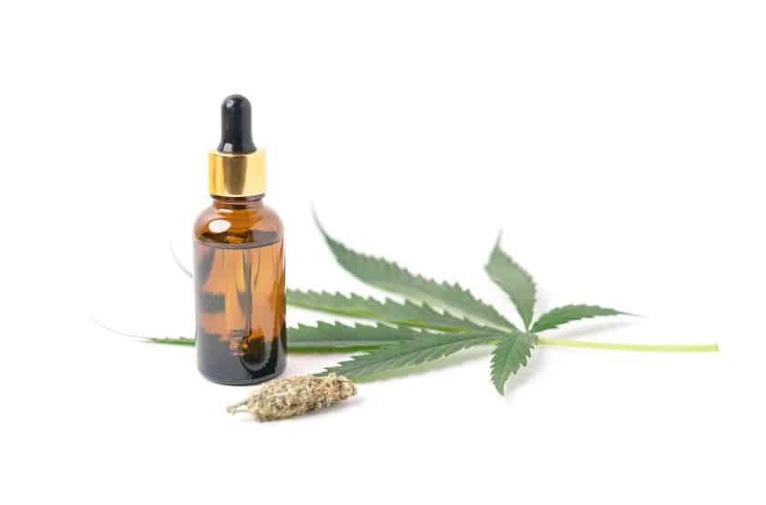 Tout ce que vous devez savoir sur le THCV, un guide parfait